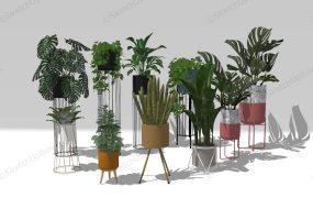 Plants SketchUp 3D Model .skp File Download - SketchupBox
