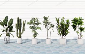 Plants SketchUp 3D Model .skp File Download - SketchupBox