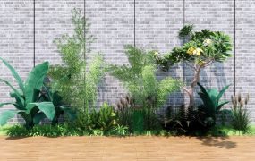 Plants SketchUp 3D Model .skp File Download - SketchupBox